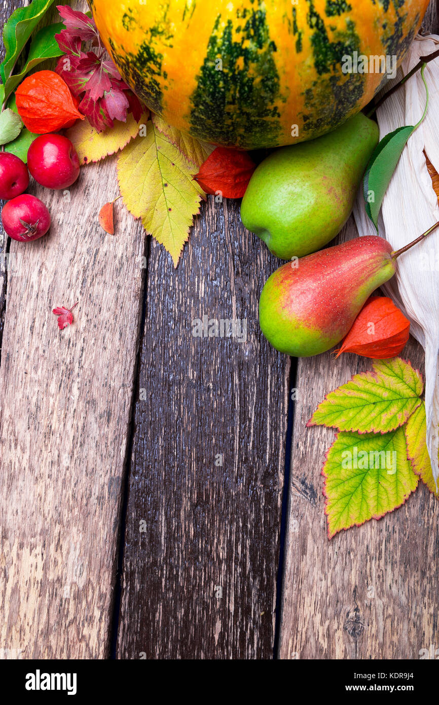 Thanksgiving background with autumn fruits and gourds on a rustic ...