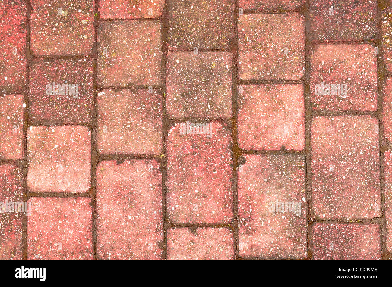 Block paving driveway hi-res stock photography and images - Alamy