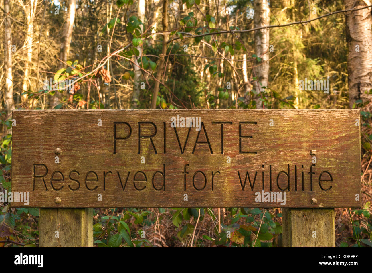 Wood reserved sign hi-res stock photography and images - Alamy