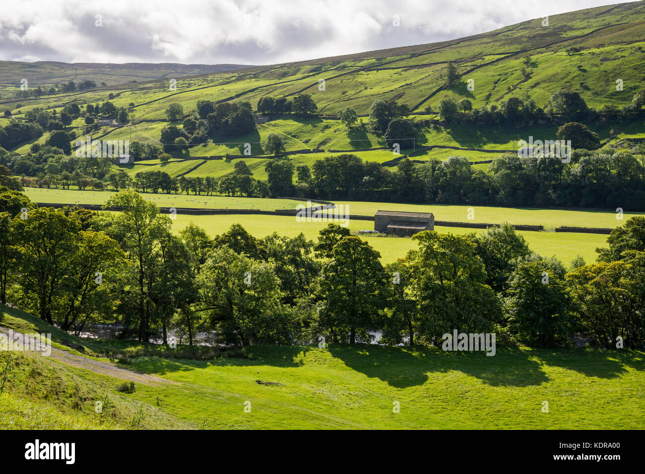 Gunnerside meadows in Swaledale, Yorkshire Dales, England Stock Photo ...