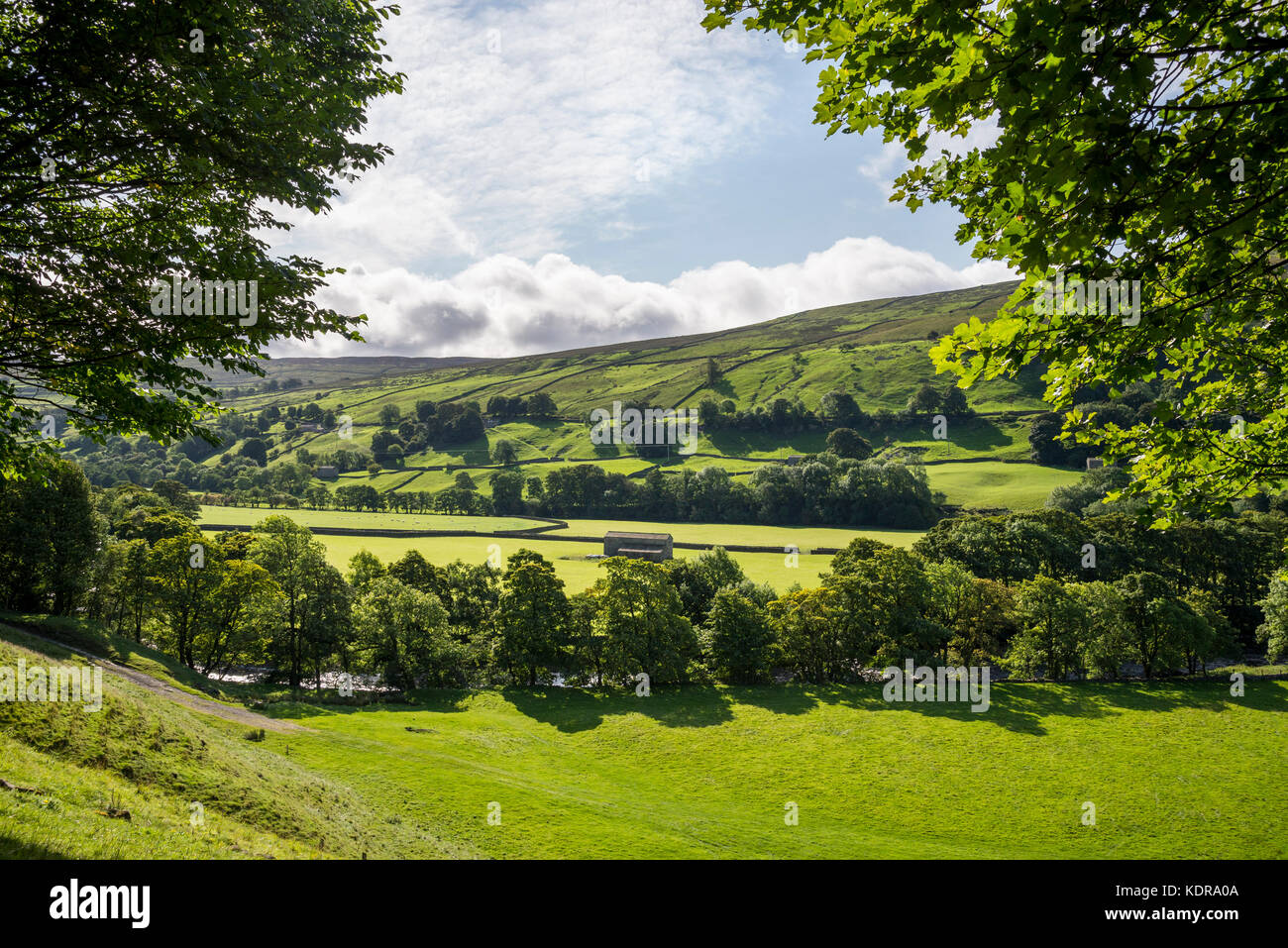 Gunnerside meadows in Swaledale, Yorkshire Dales, England Stock Photo ...