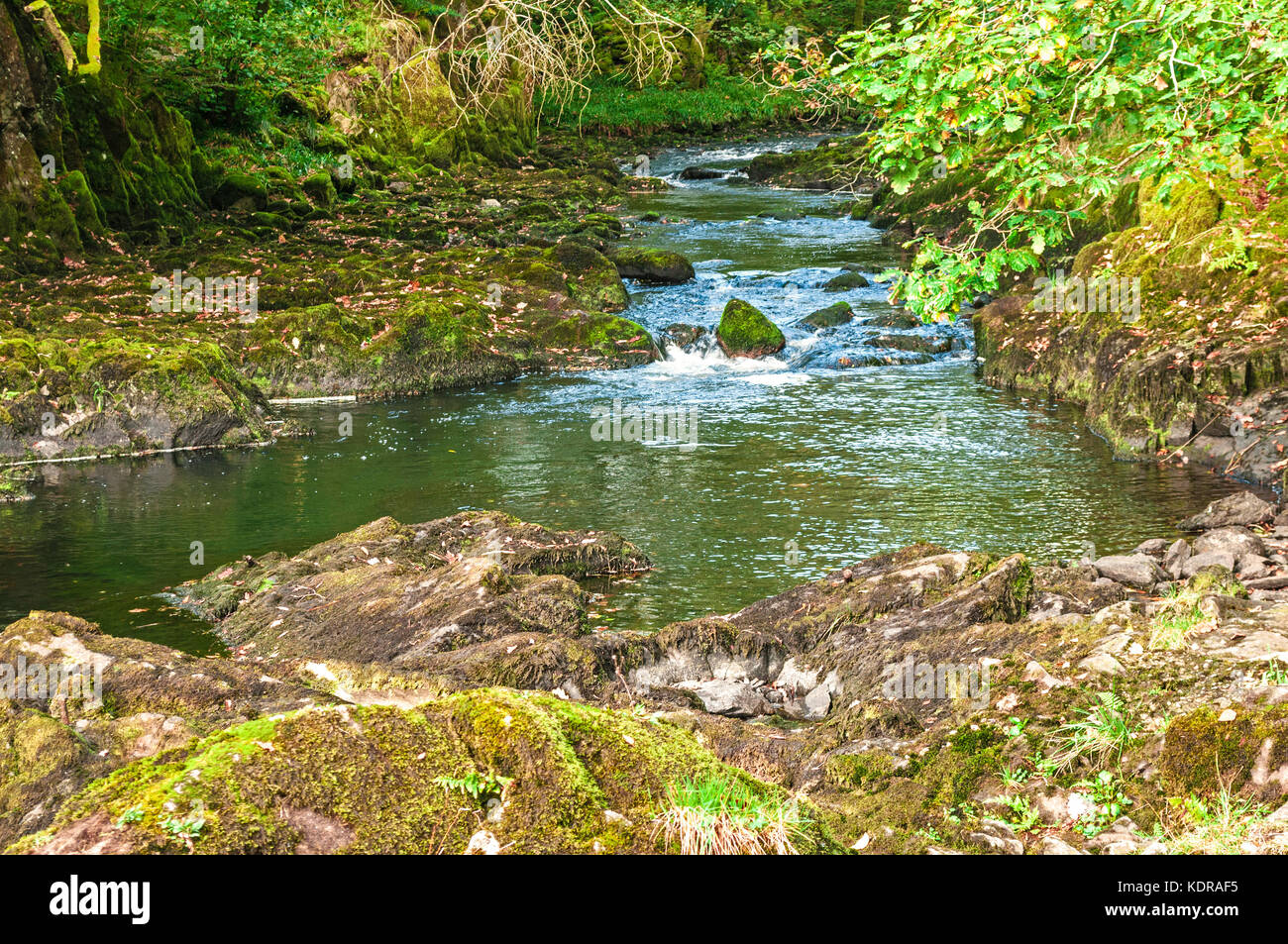 Lake District ,Mountain Stream,Cumbria, England Stock Photo - Alamy