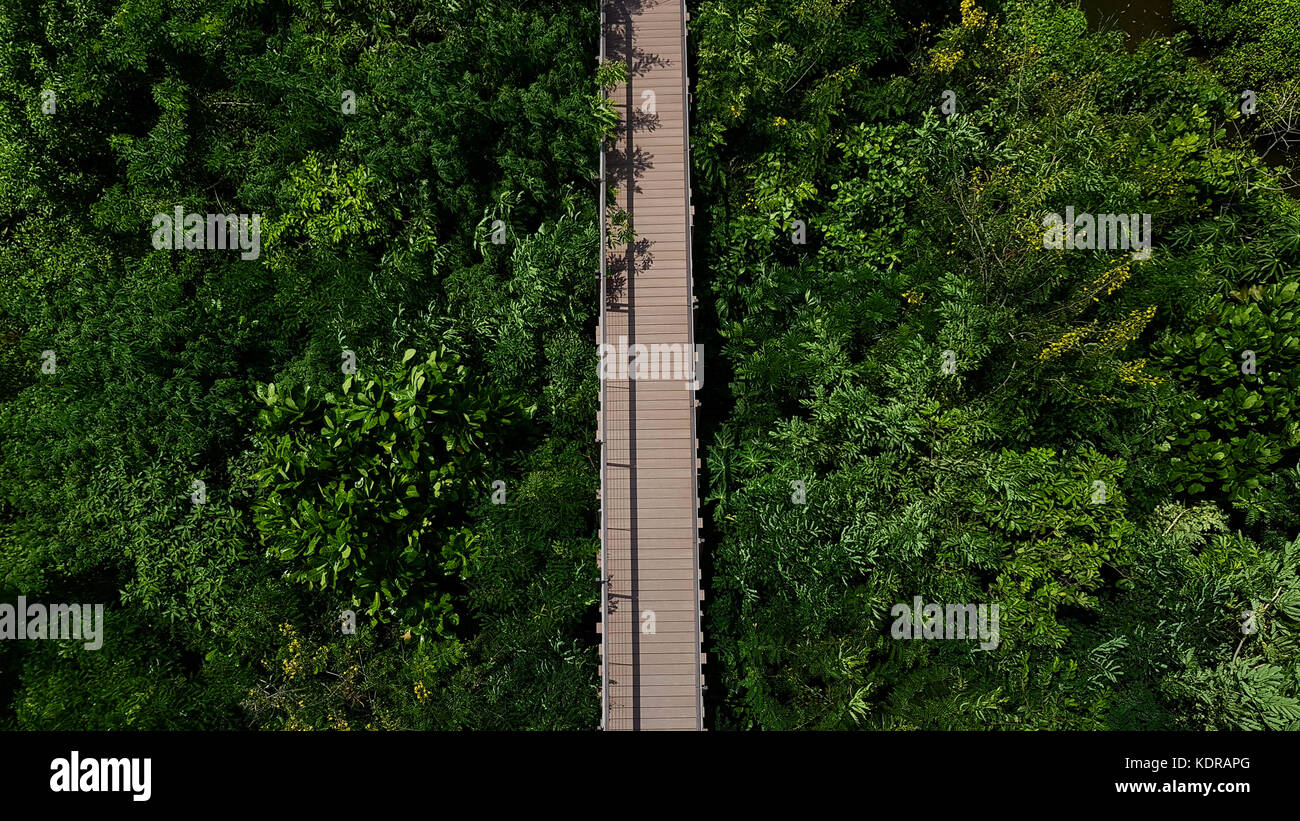 Walkway in the forest on bird eye view Stock Photo - Alamy