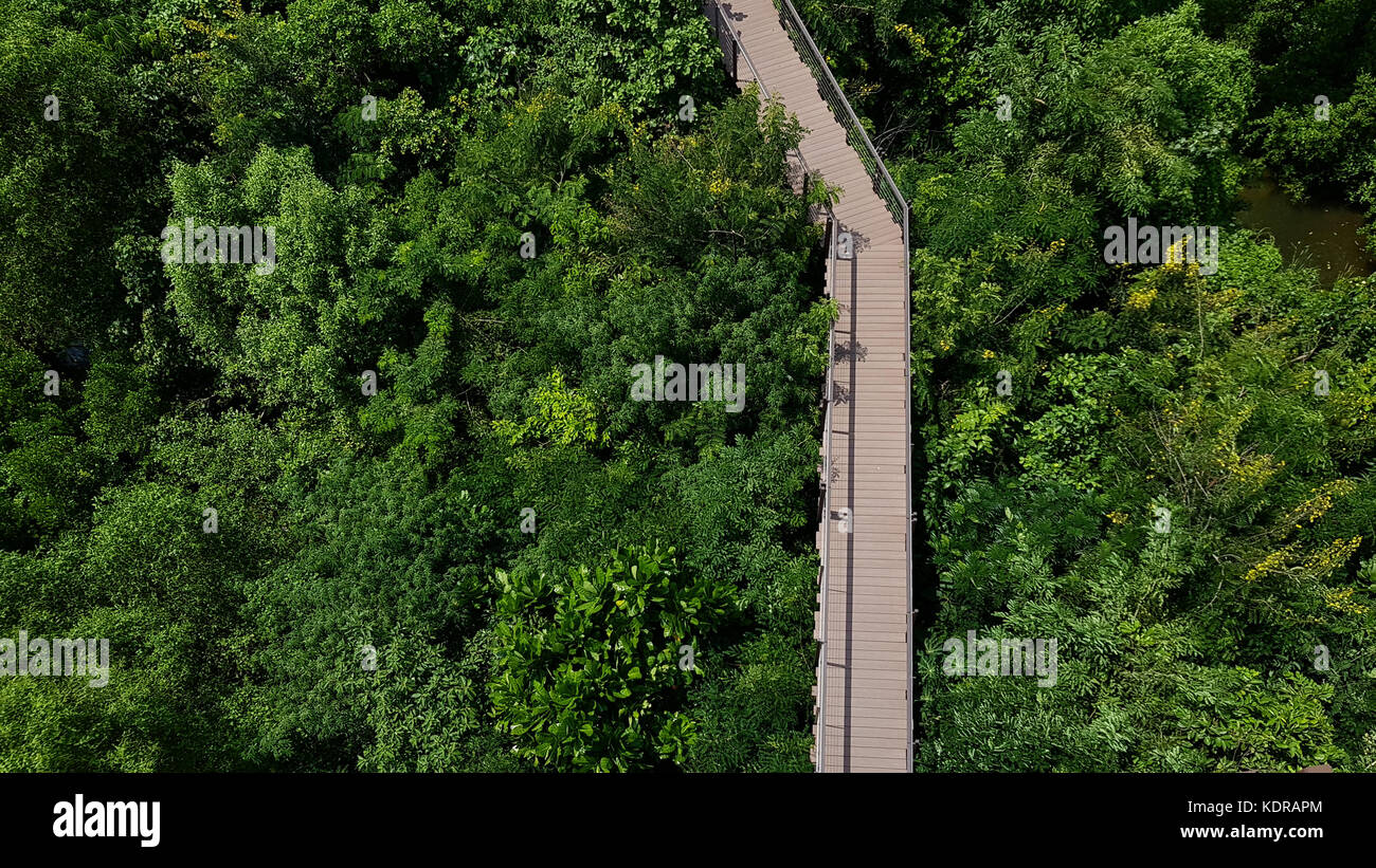 Walkway in the forest on bird eye view Stock Photo - Alamy