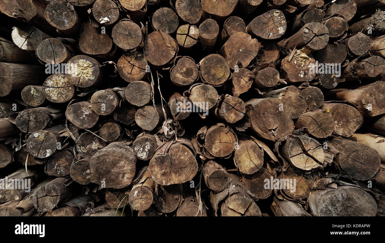 Lumber pattern texture background Stock Photo - Alamy
