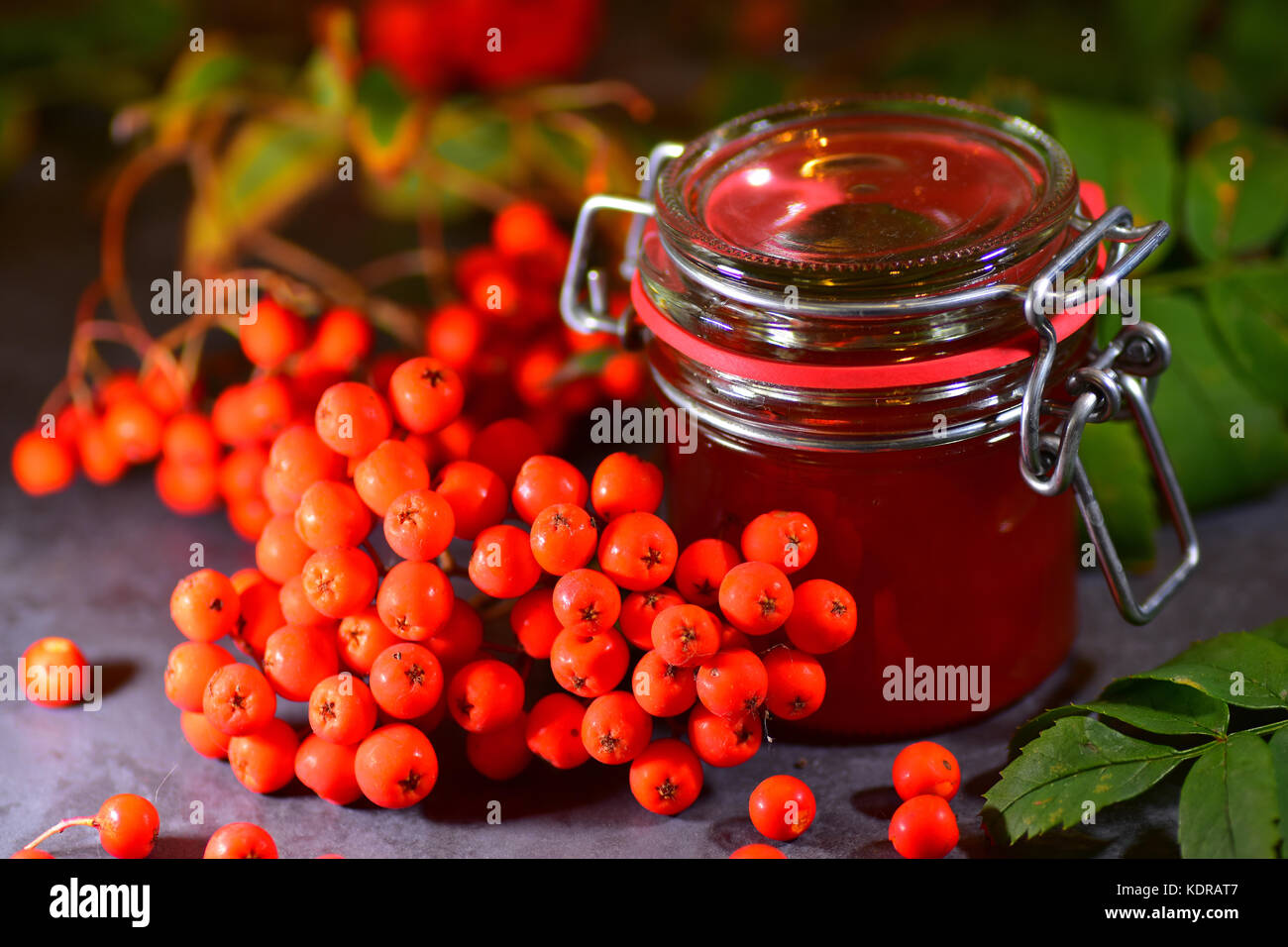 Rowan Berry Jelly made in Autumn Stock Photo - Alamy