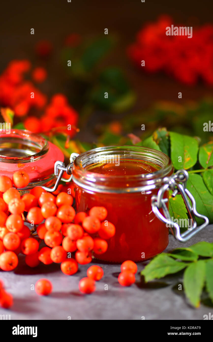 Rowan Berry Jelly made in Autumn Stock Photo - Alamy