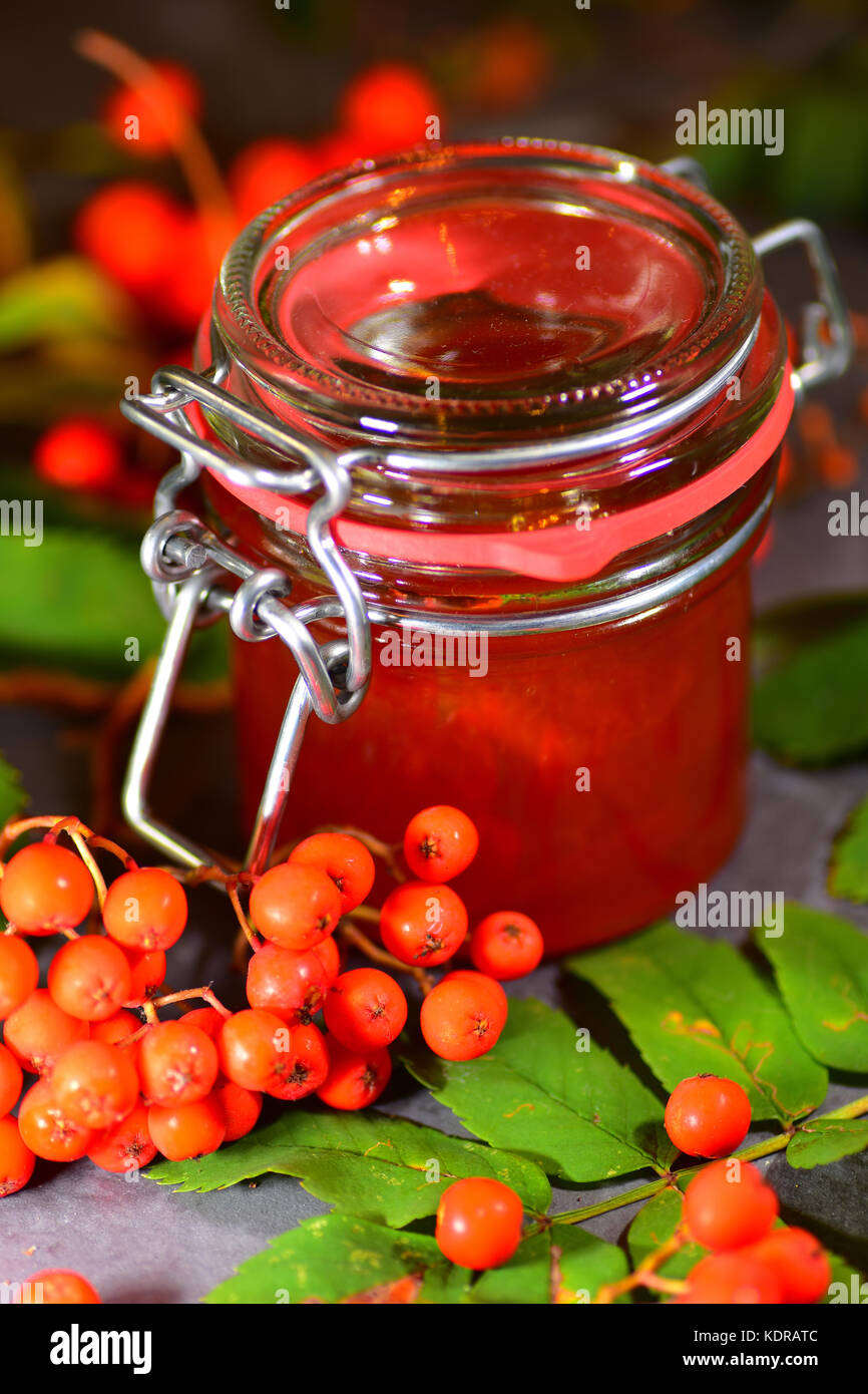Rowan Berry Jelly made in Autumn Stock Photo - Alamy