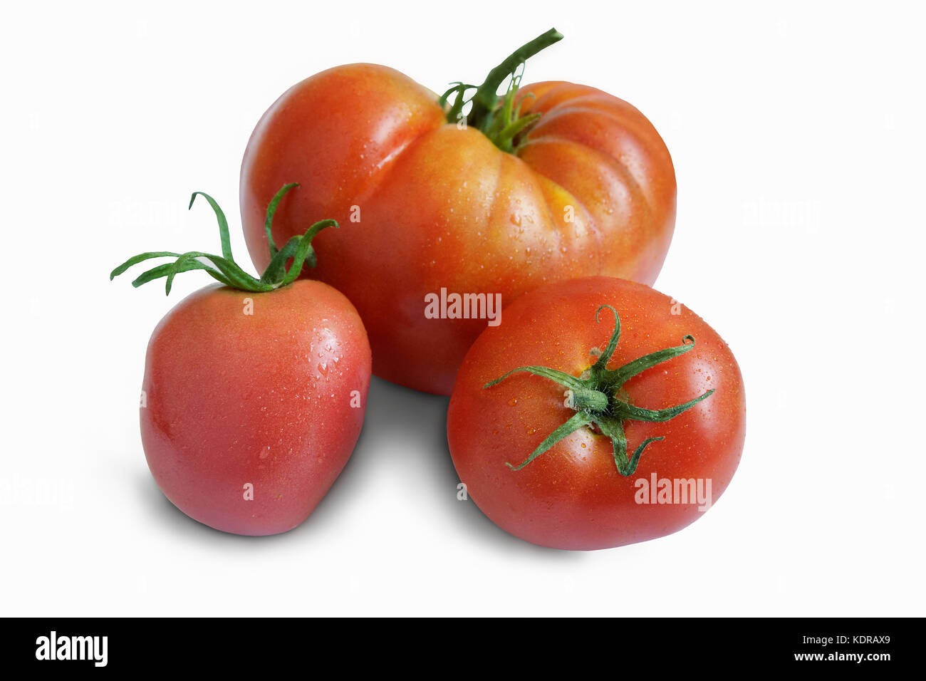 Three tasty ripe tomatoes with stalk. Presented on a white background ...