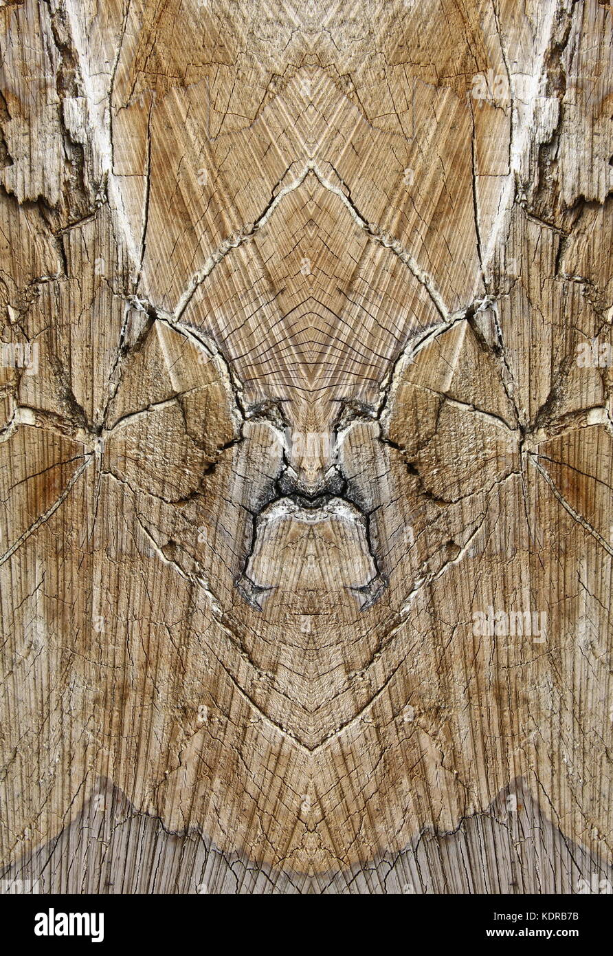 Cut tree trunk - annular rings - wooden texture Stock Photo - Alamy