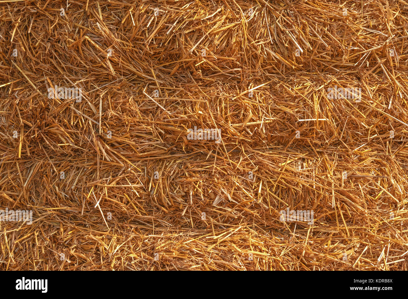 Straw Hay Background Stock Photo - Alamy
