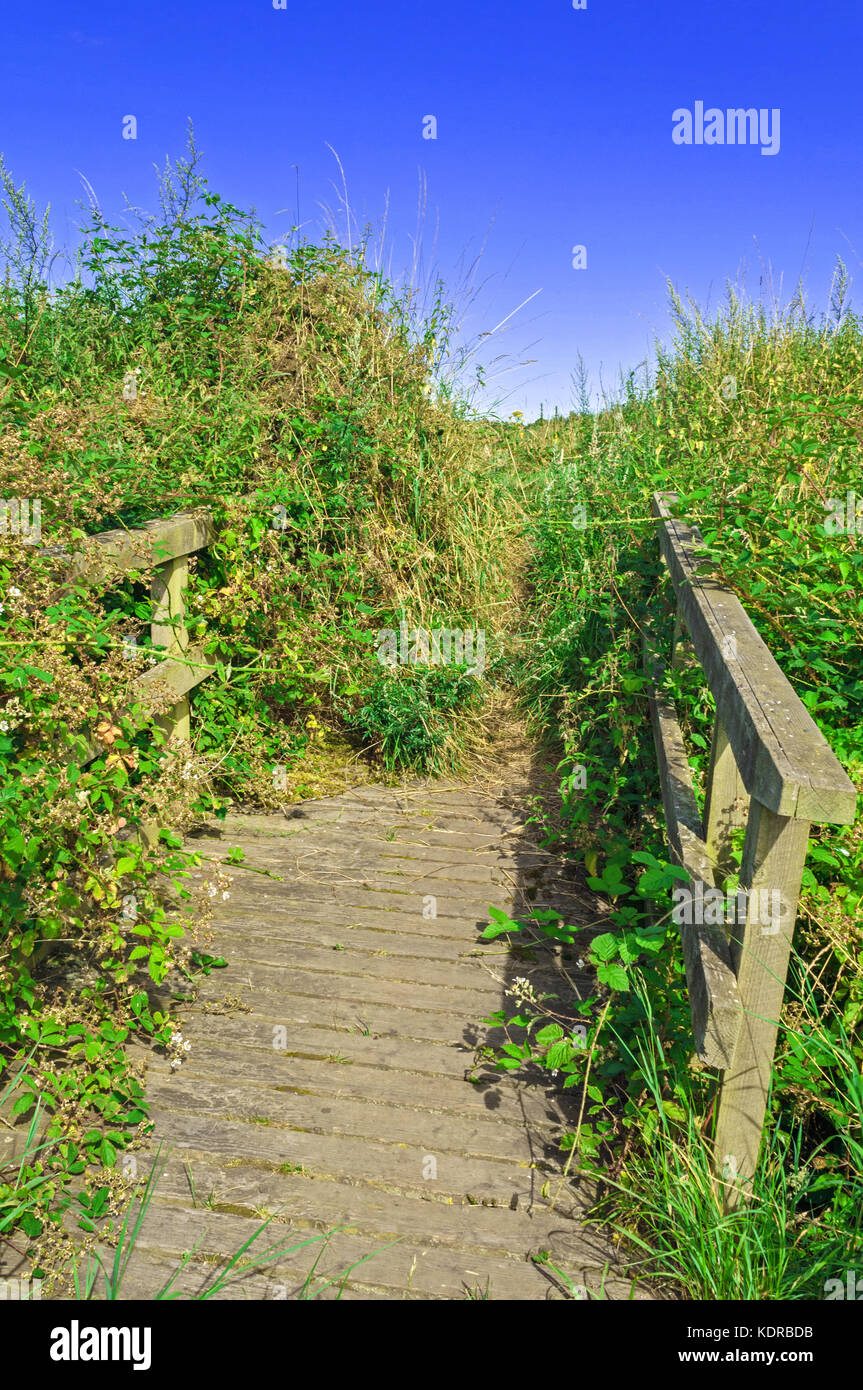 Wooden Foot Bridge,Nature Trail Stock Photo - Alamy