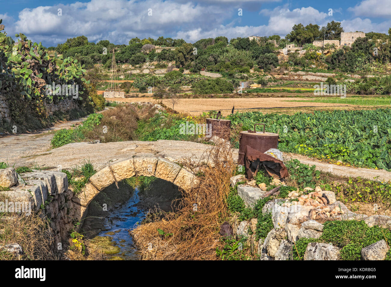 Typical agricultural landscape in Malta, with beautiful rich red soil ...