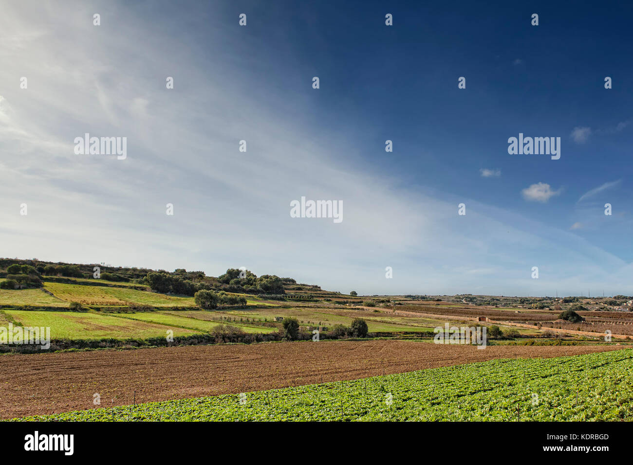 Typical agricultural landscape in Malta, with beautiful rich red soil ...