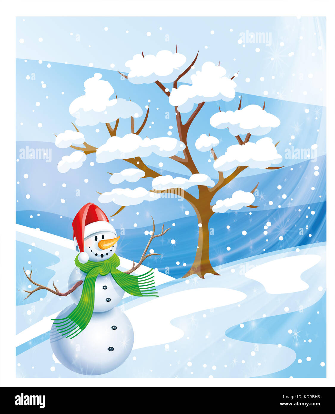 Coniferous trees in winter Cut Out Stock Images & Pictures - Alamy