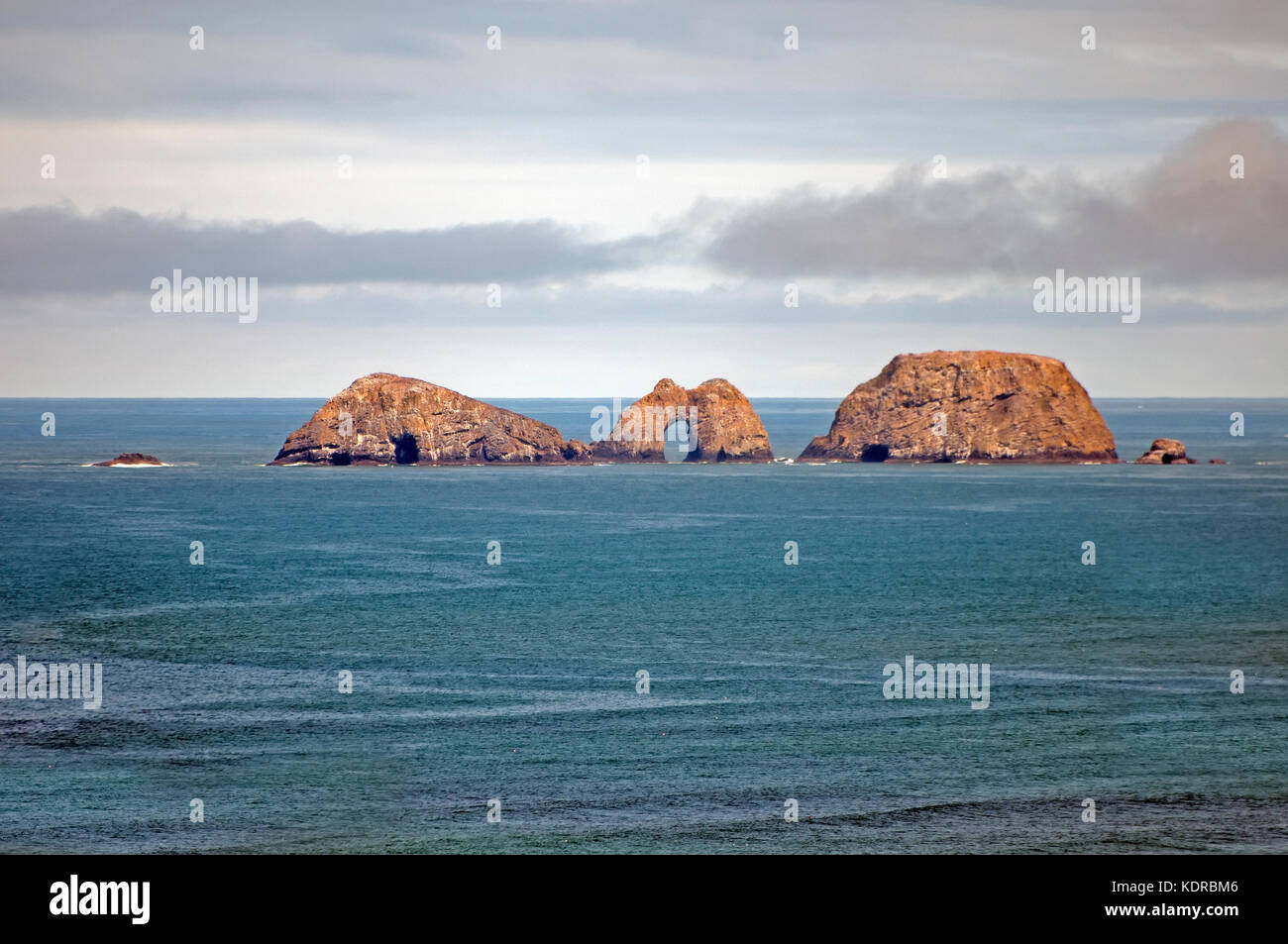 Turtles kissing rock, Oregon, USA Stock Photo - Alamy