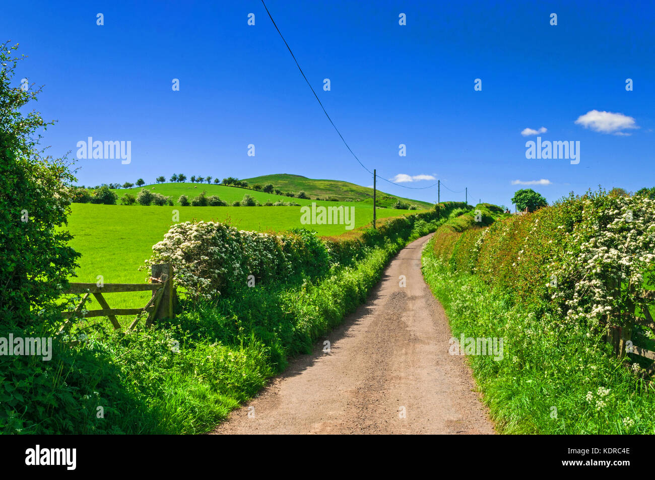 Country Lane, Rural Road Stock Photo - Alamy