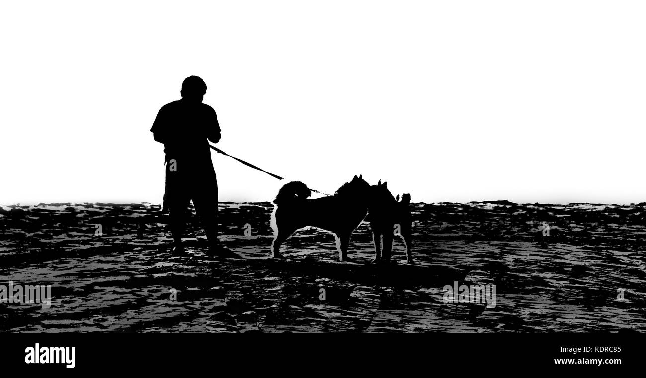 white background dog walker and life style People with pets Stock Photo ...