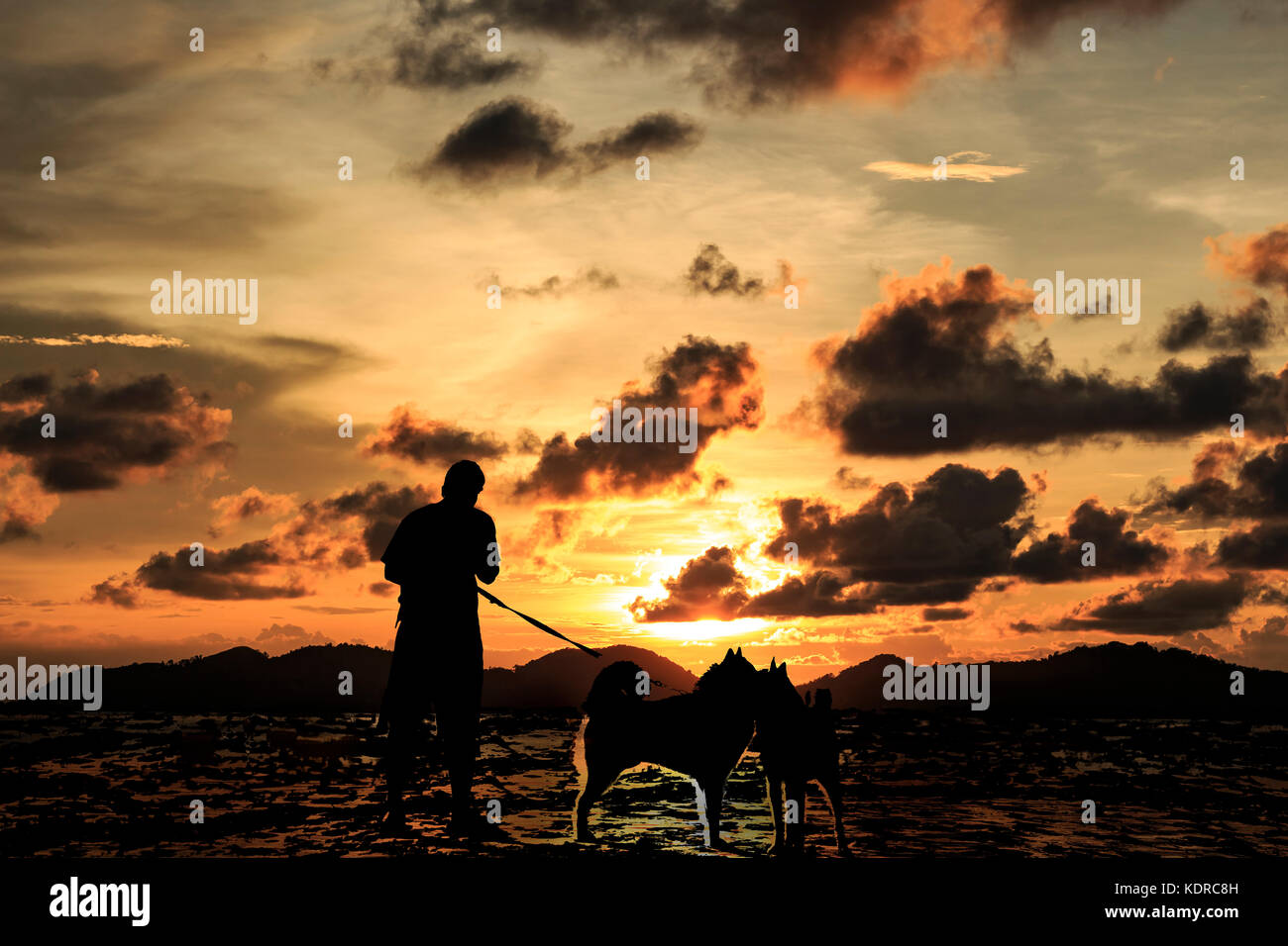 Men's and dogs' way of life, walking, sunset and sunrise Stock Photo ...