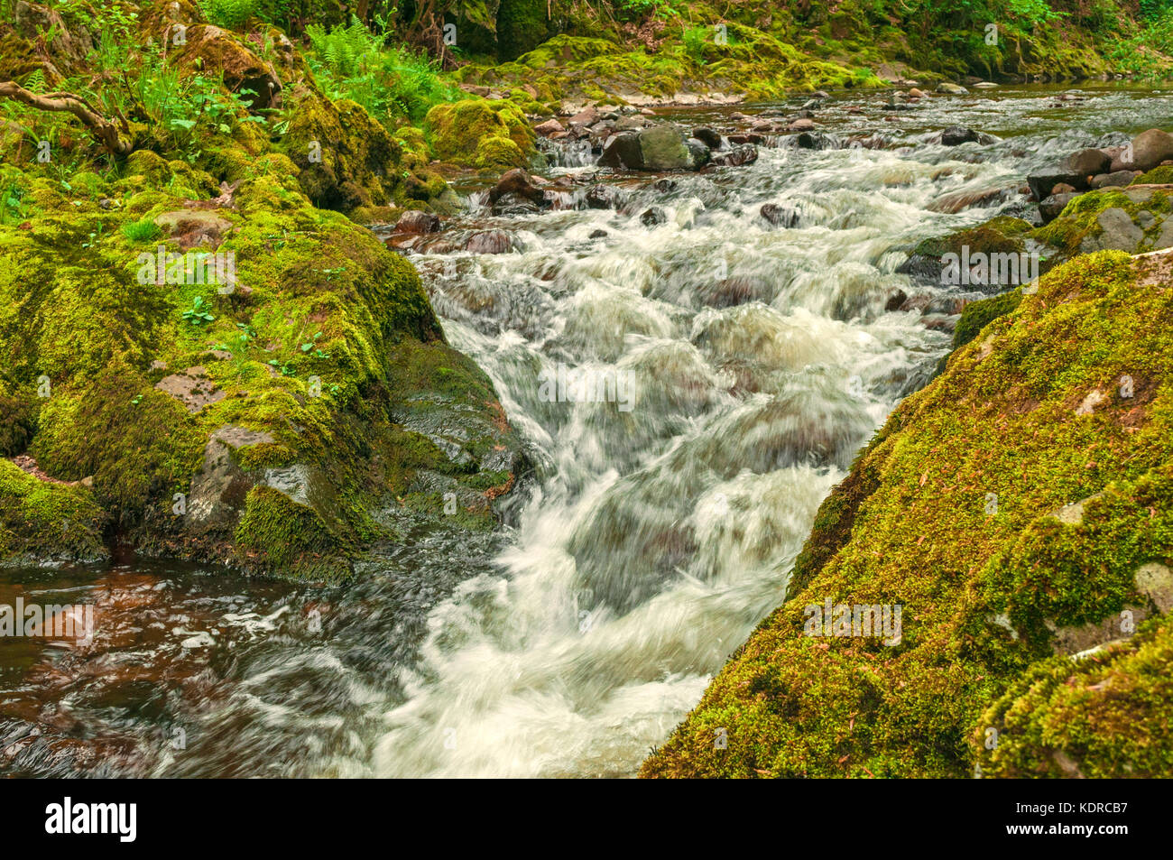 Mountain river cascading down Stock Photo - Alamy