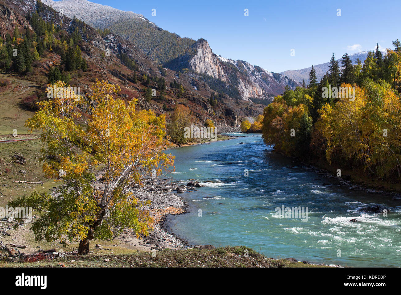 Katun river in the Altai Mountains, Altai Republic, Russia Stock Photo ...