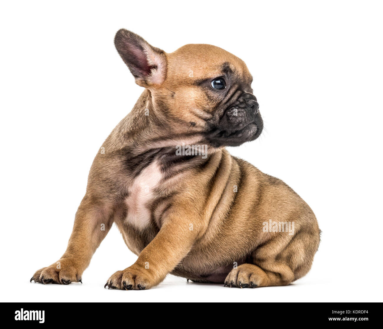 Looking backwards hi-res stock photography and images - Alamy