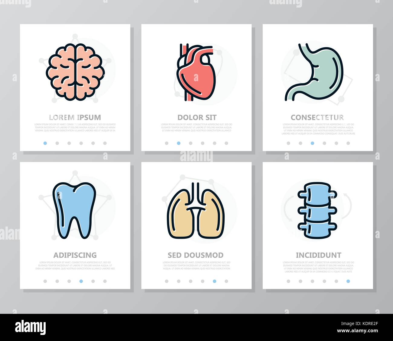 Organ layout Stock Vector Images - Alamy