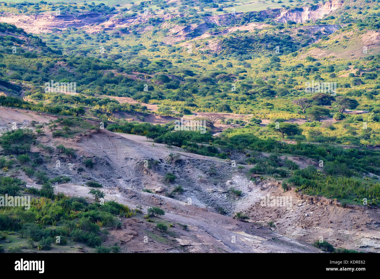 Scenic view of Olduvai Gorge Stock Photo - Alamy