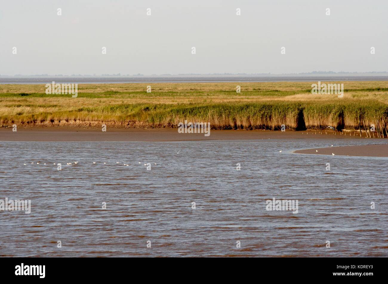 the german coastline - the waddensea Stock Photo - Alamy