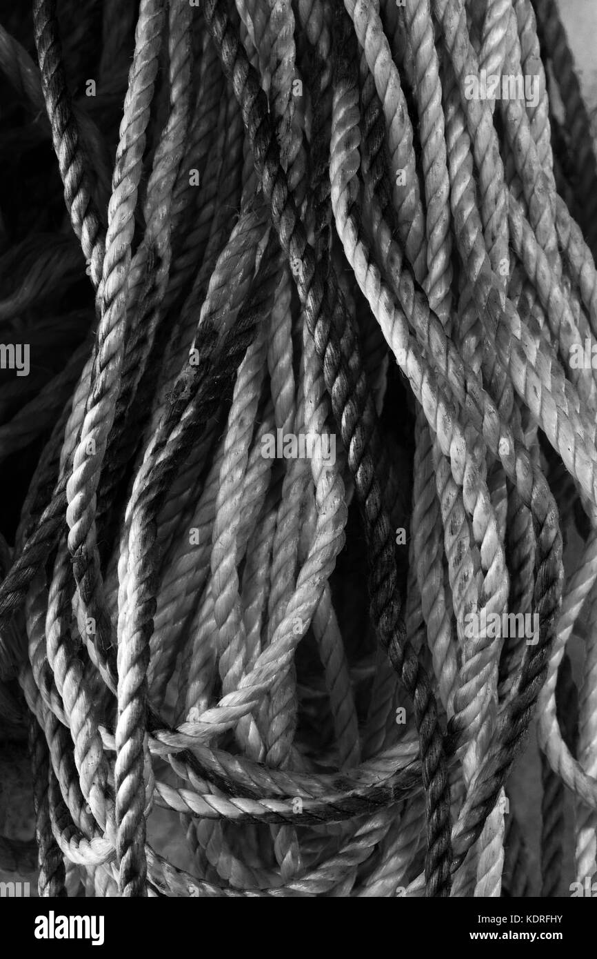 Interlocking Loops High Resolution Stock Photography and Images - Alamy