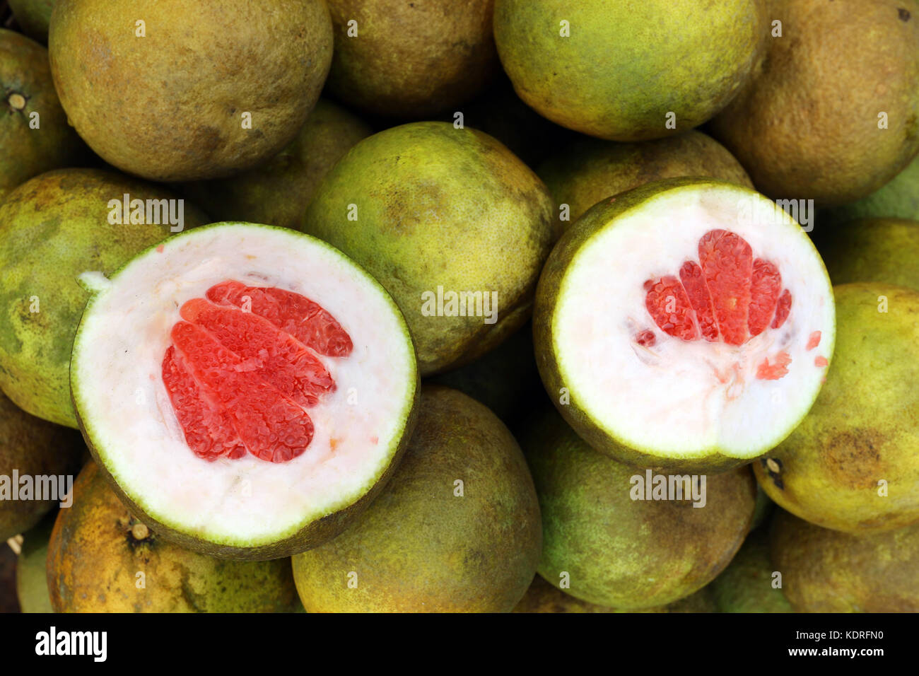 Jambura hi-res stock photography and images - Alamy