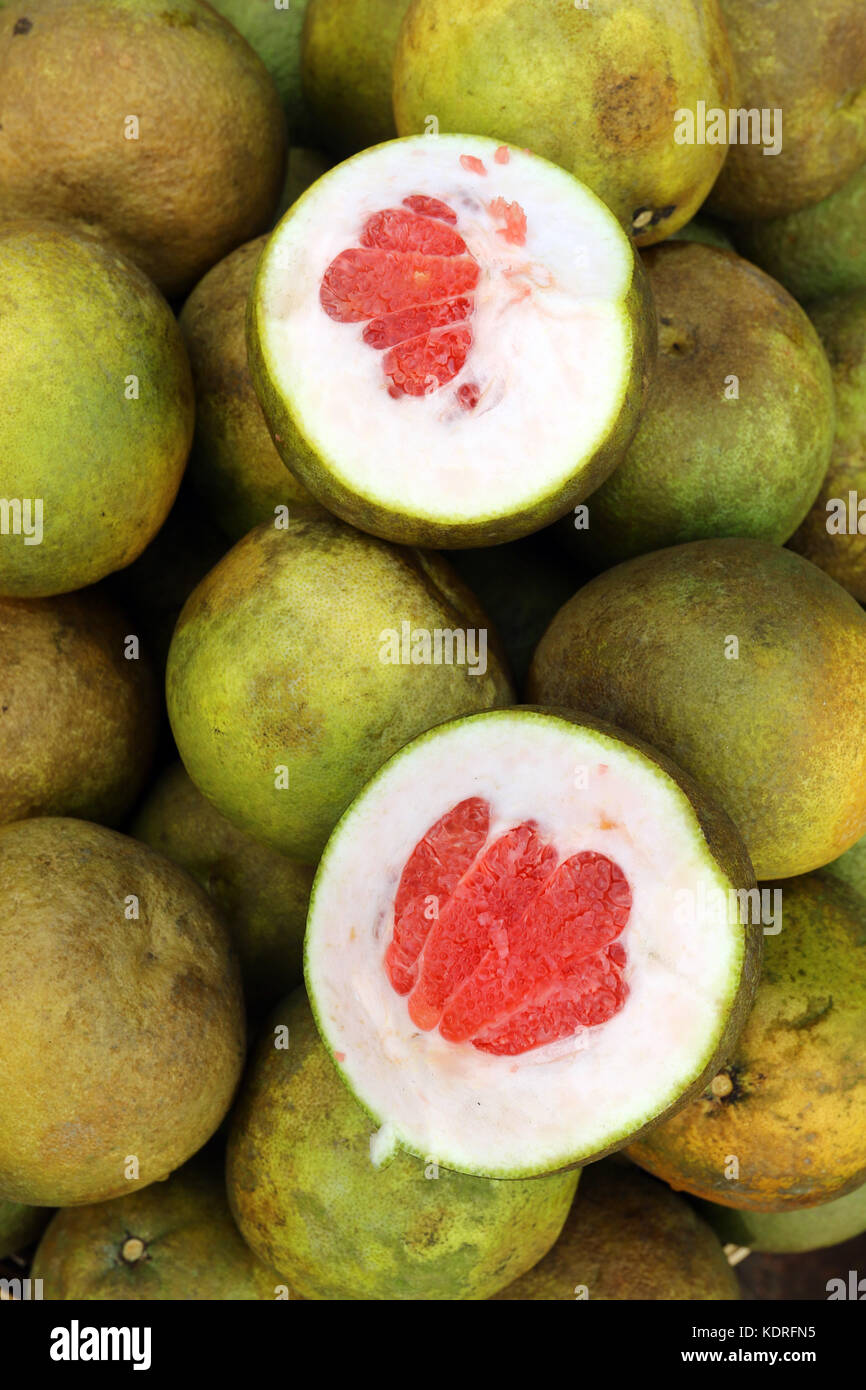 Jambura hi-res stock photography and images - Alamy