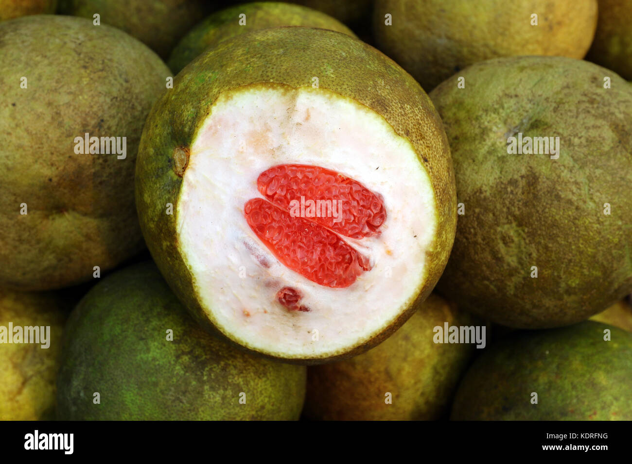 Jambura hi-res stock photography and images - Alamy