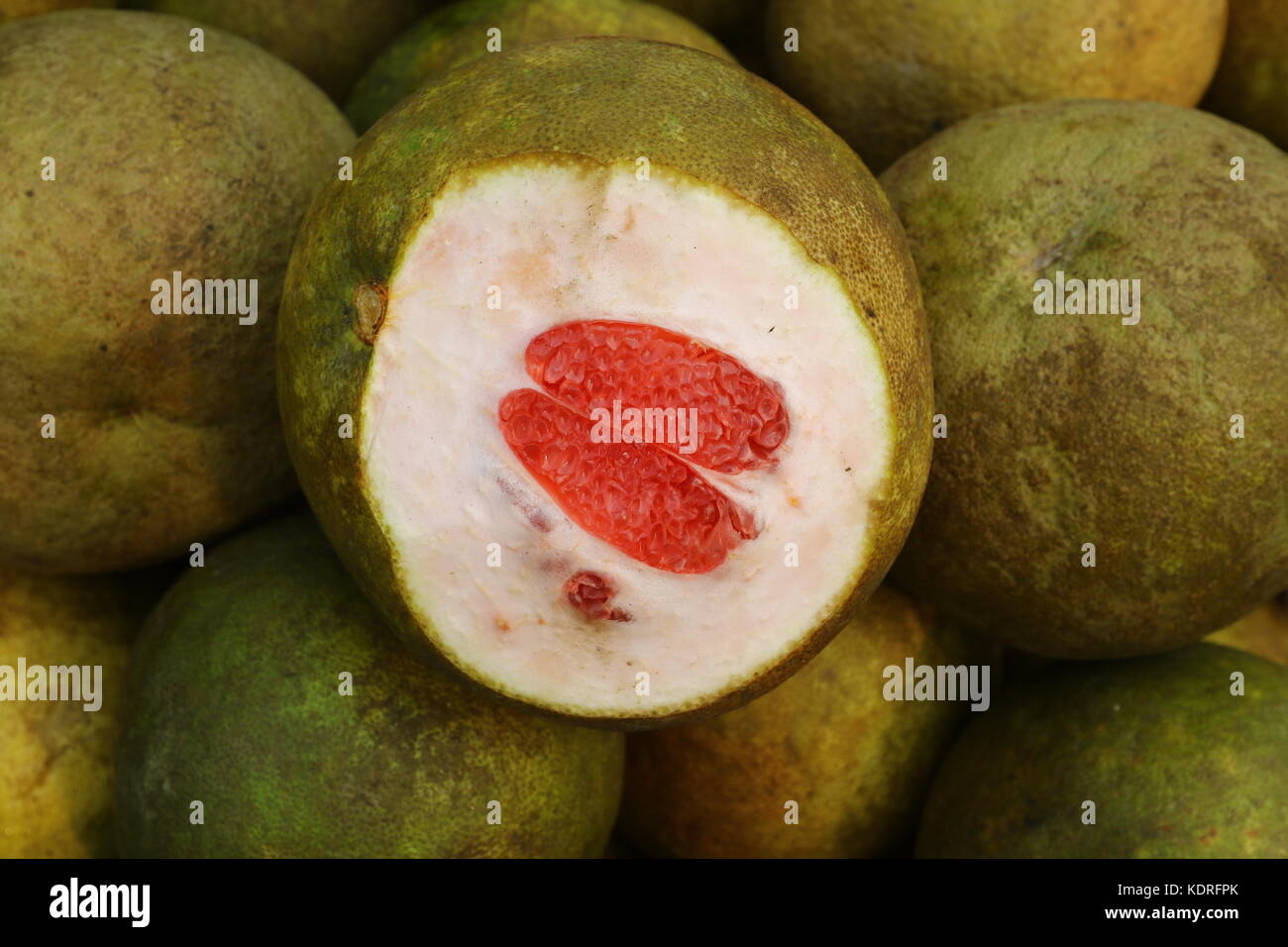 Jambura hi-res stock photography and images - Alamy