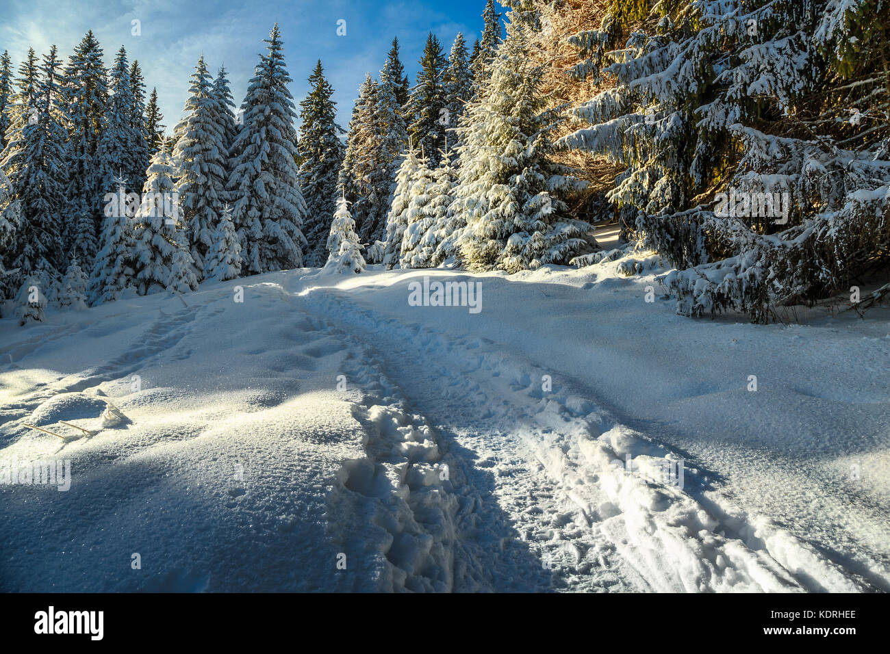 Majestic winter landscape in Transylvanian mountains, Romania, Europe ...