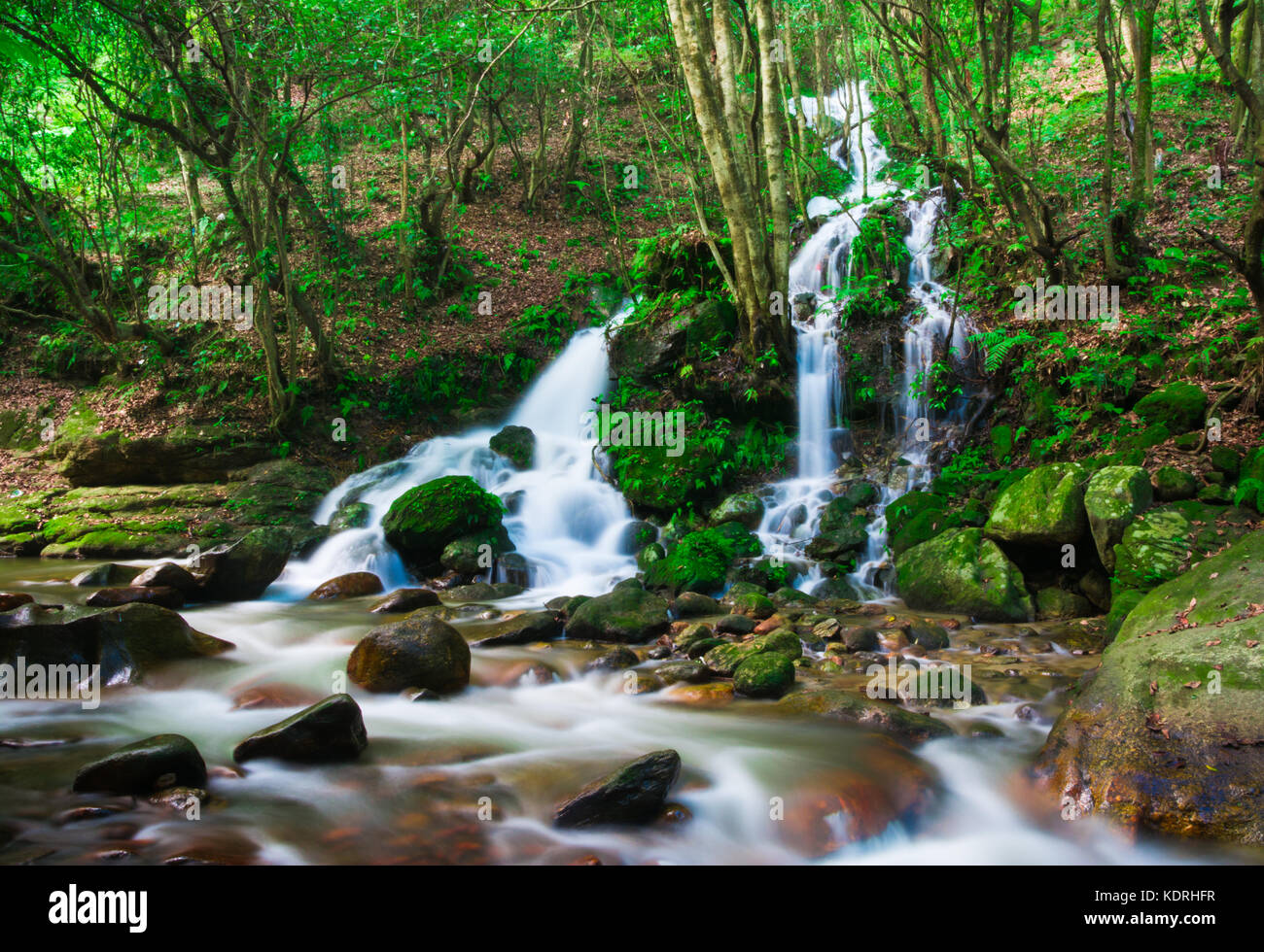 Tropical forest waterfall hi-res stock photography and images - Alamy