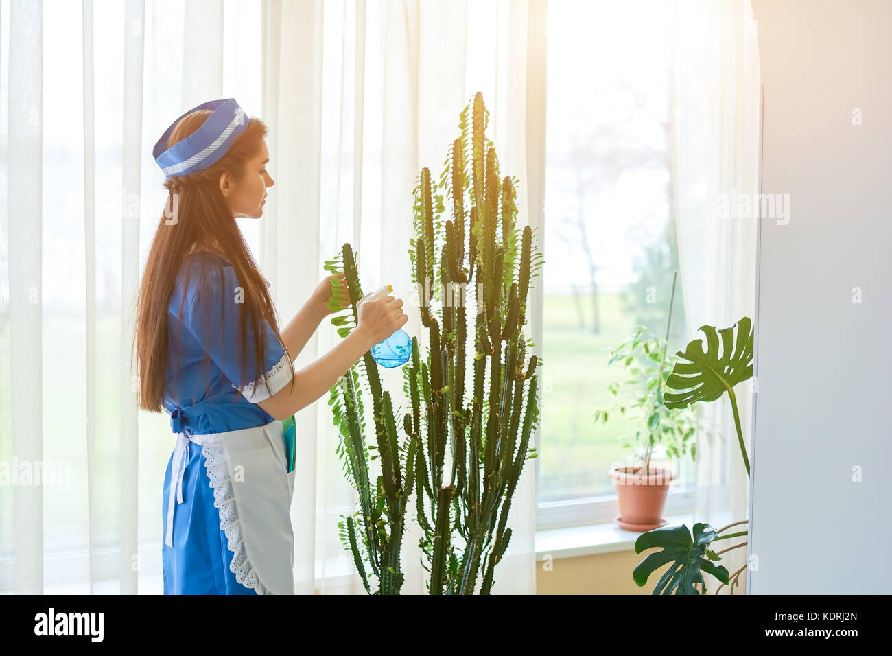 Young housemaid working Stock Photo - Alamy
