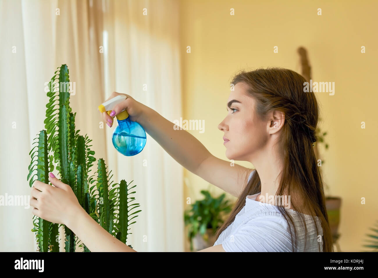 Girl spraying plant indoors Stock Photo - Alamy
