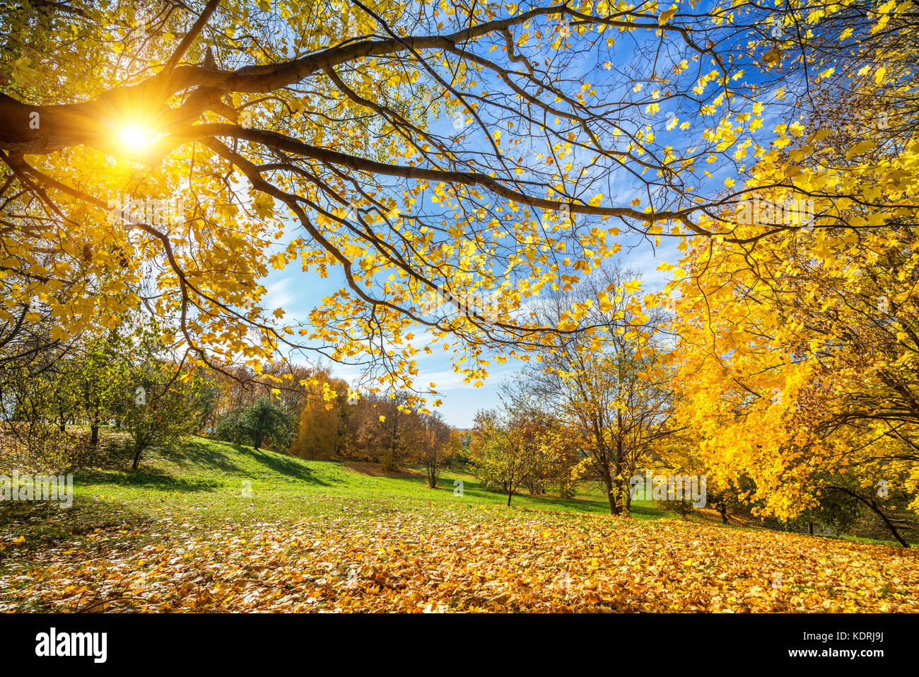 Sunny autumn in countryside Stock Photo - Alamy