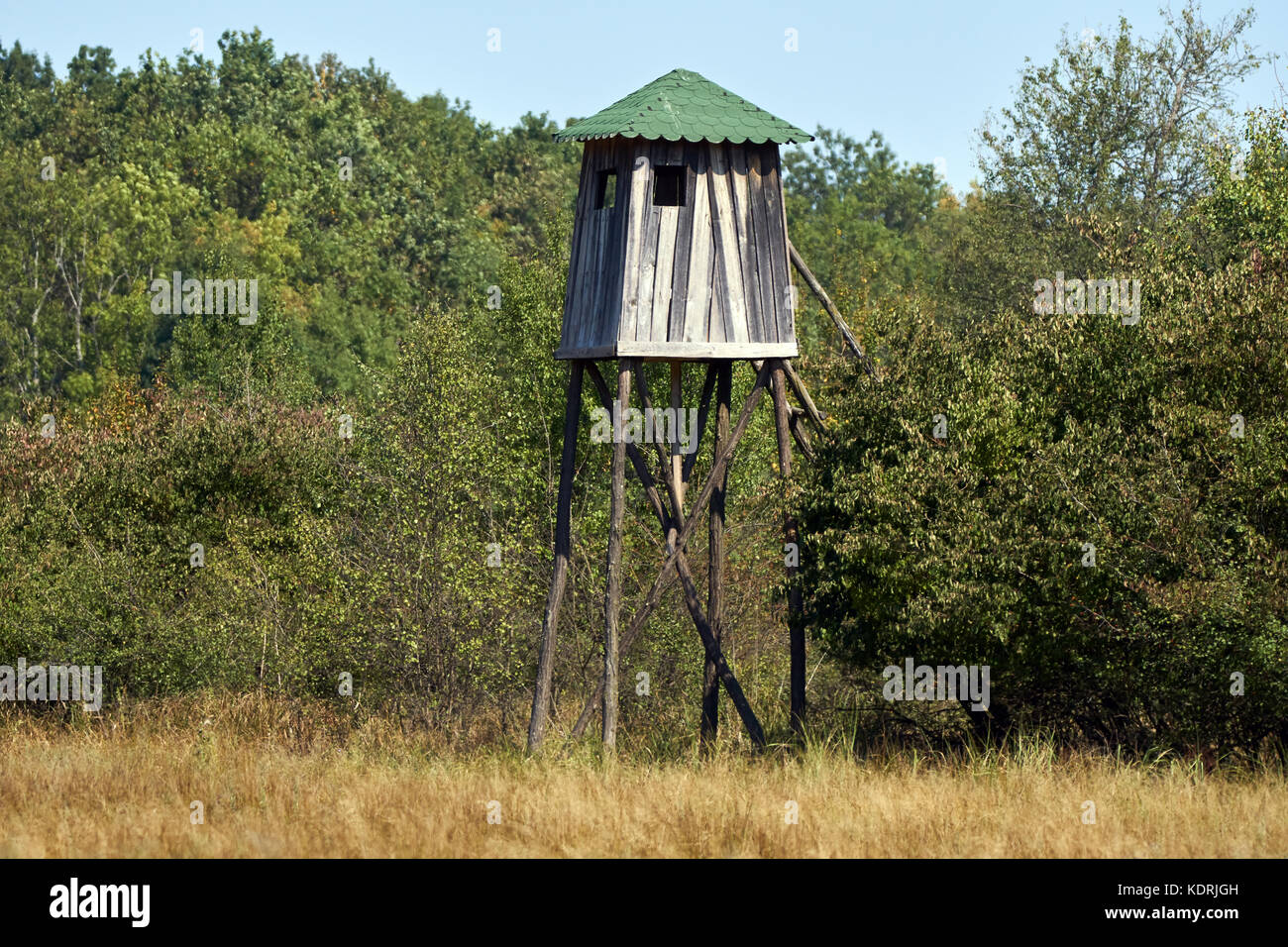 Hunting observatory by the forest Stock Photo - Alamy
