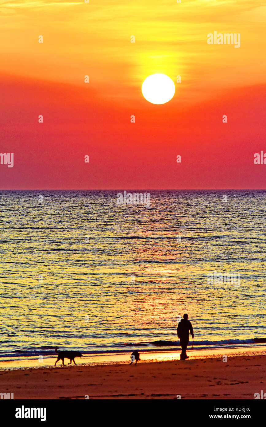 Sunrise with large sun and dogs and walker along the beach Stock Photo ...