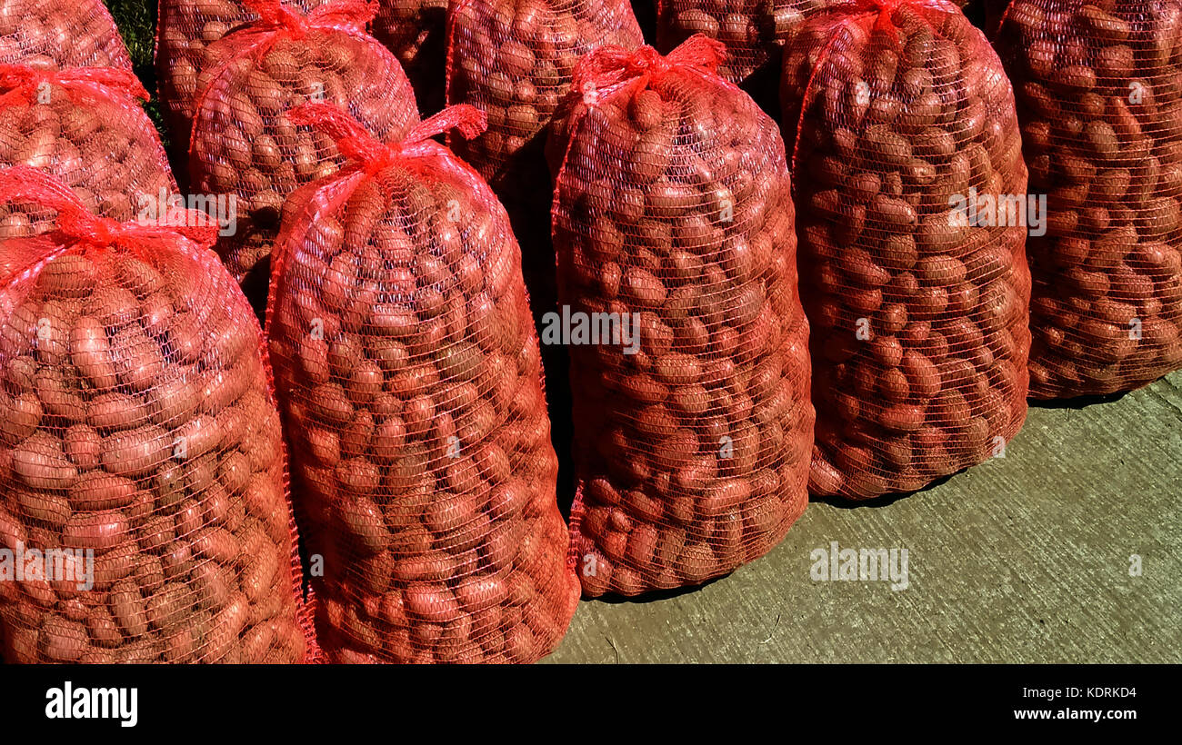 sacks of potatoes Stock Photo - Alamy