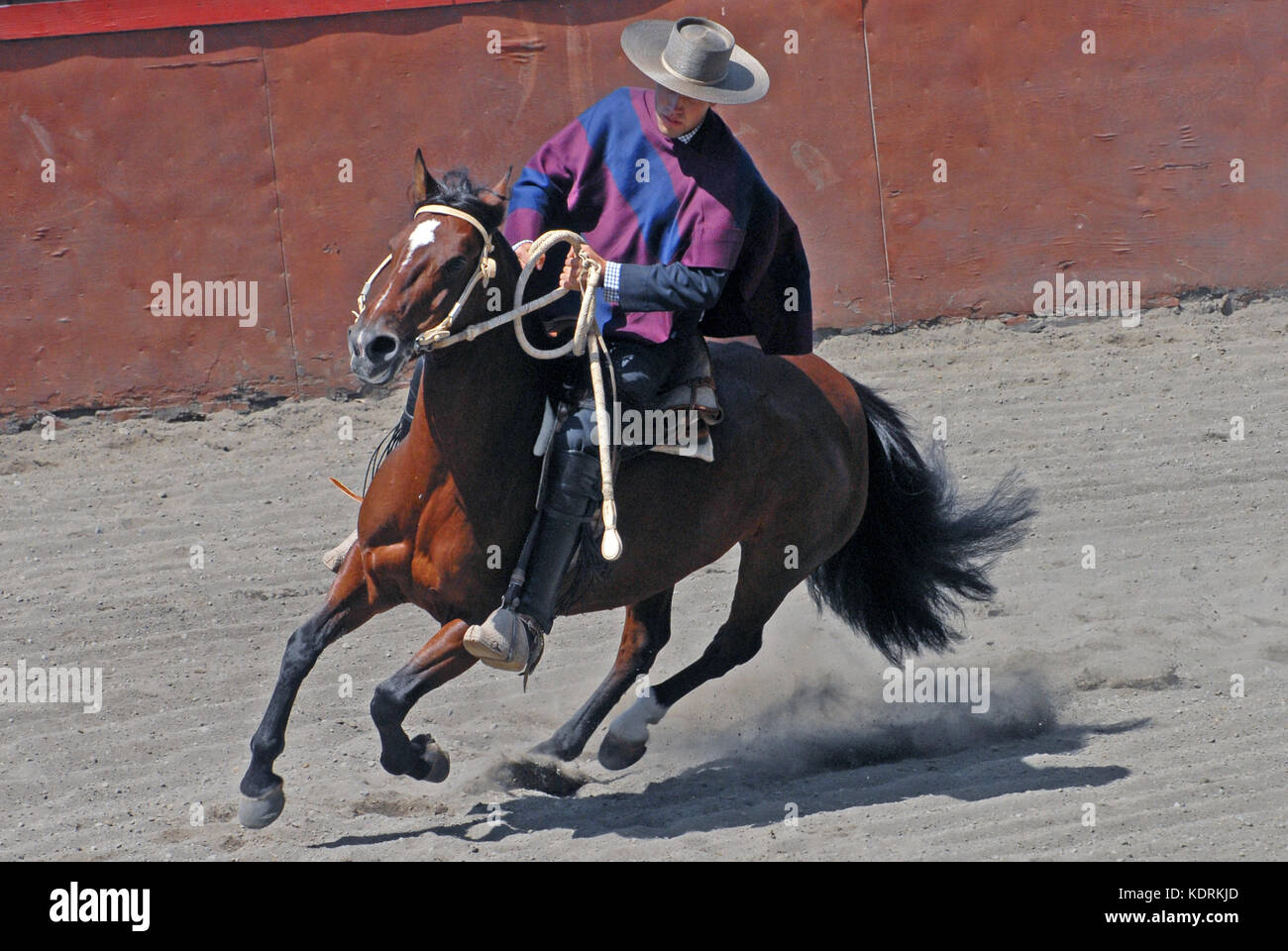 Huaso chilean hi-res stock photography and images - Alamy