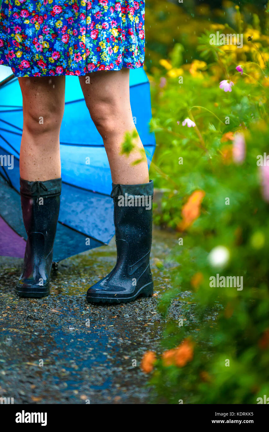 Summer rain hi-res stock photography and images - Alamy
