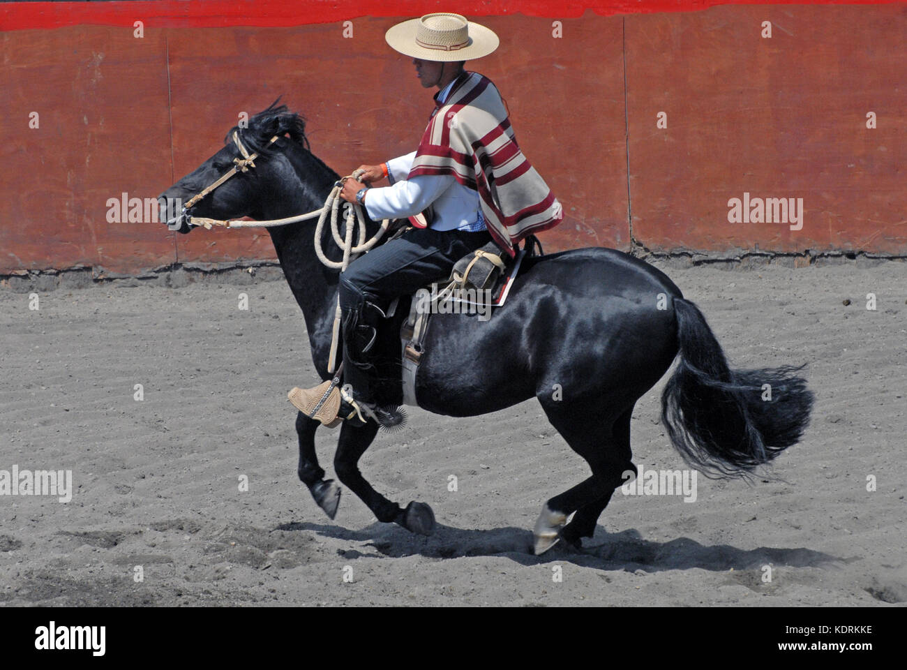 Huaso Stock Photos & Huaso Stock Images - Alamy