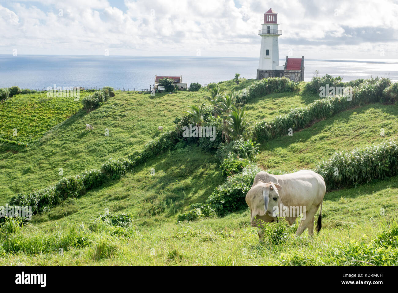 Lighthouse at Mahatao Hill, Batan Island , Batanes, Philippines Stock ...