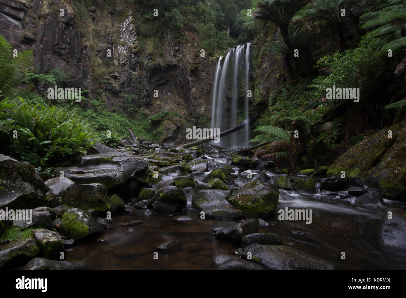 beautiful Hopetoun waterfall in the otway ranges national park. long ...