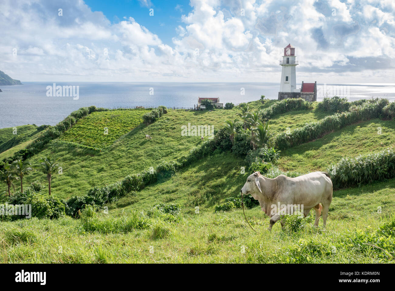 Lighthouse at Mahatao Hill, Batan Island , Batanes, Philippines Stock ...