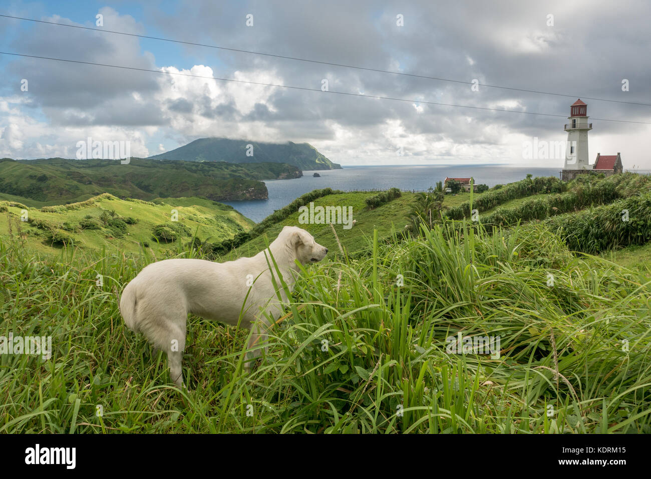 View from Mahatao hill, Batan Island, Batanes, Philippines Stock Photo ...