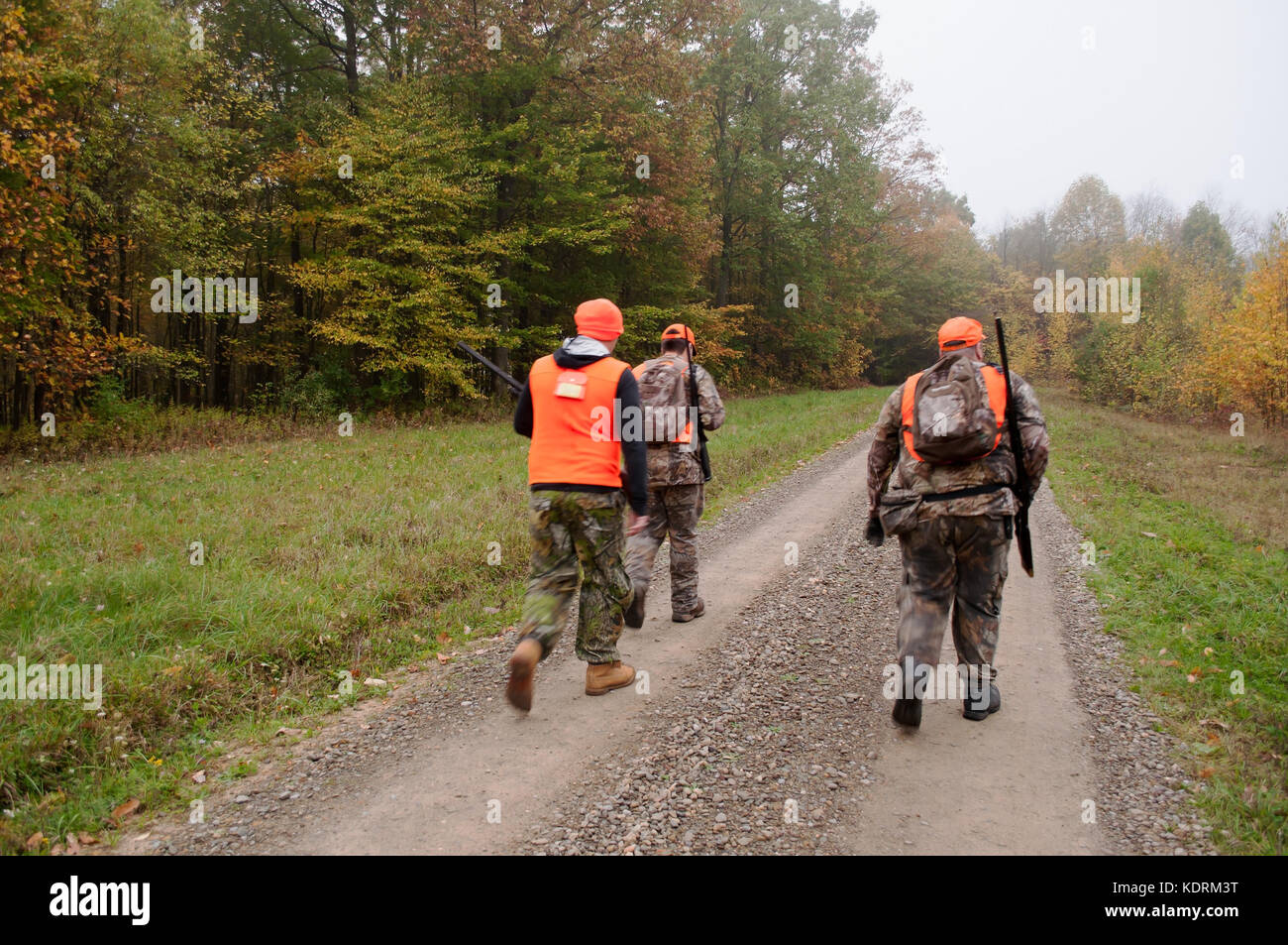 Three hunters walking a dirt road in the woods Stock Photo - Alamy